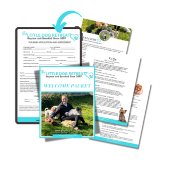 Home - the LITTLE DOG RETREAT